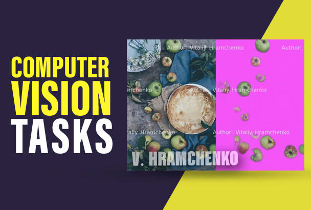 Complete Computer Vision Tasks For You By Vhramchenko