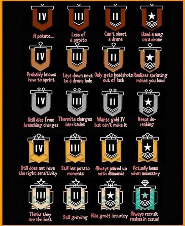 Play your smurf in r6 siege down to copper xbox by Gkmoritz | Fiverr