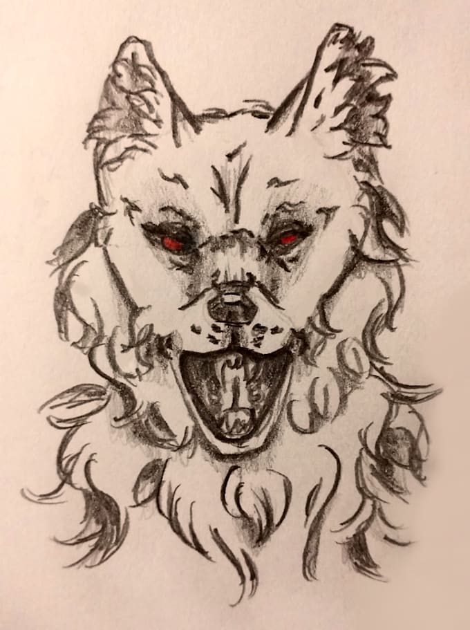 Draw cats, owl and other animals by Jtarts | Fiverr