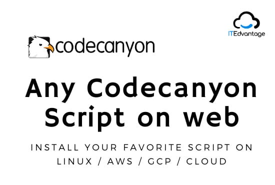 Install codecanyon script on your server by Itedvantage | Fiverr