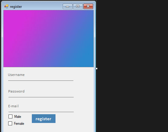 Create a csharp form by Facilityprogram | Fiverr