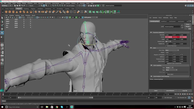 Rig and animate your 3d character by Zgr3465 | Fiverr