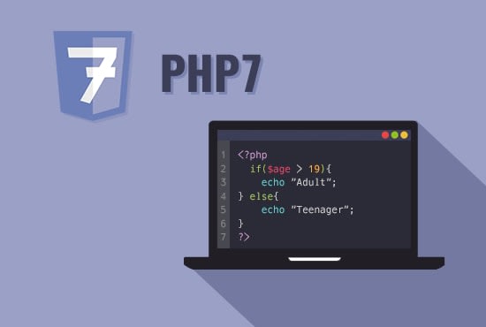 Create bespoke php scripts by Devscyu | Fiverr