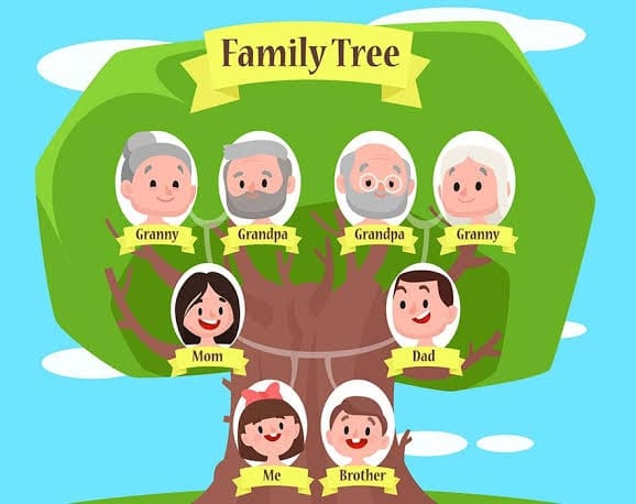 Trace your family tree by Usmanbaba461 | Fiverr