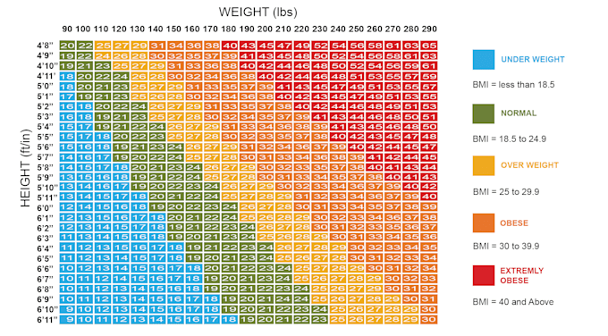 Make a specialized workout plan by Xanthos_media | Fiverr