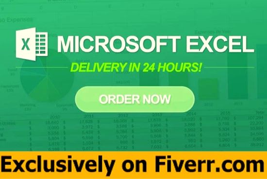 Do any microsoft excel spreadsheet task in 24 hours by Shehla_excel ...