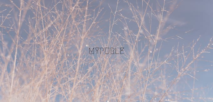 Create quotes wallpaper for phone by Ainisya | Fiverr