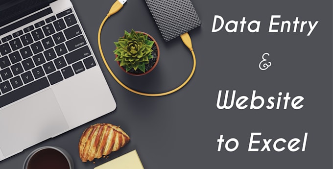 Create an excel sheet for your website data by Xaphyra | Fiverr