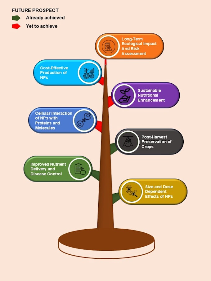 Create professional flow chart and diagrams by Jshehzad30 | Fiverr