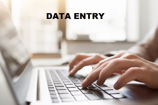 Do data entry, copy paste, typing and web research by Elisaveta998