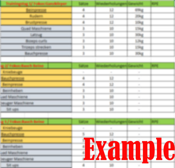 Write your individual workout plan by Ambitioussport | Fiverr
