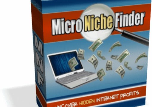 Give you a long list of profitable micro-niches that can make you ...