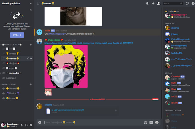 Program your discord server by Geneticgraph | Fiverr