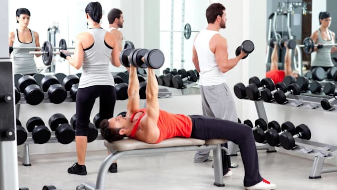 Create a specialized training plan for you by Yosoynes | Fiverr