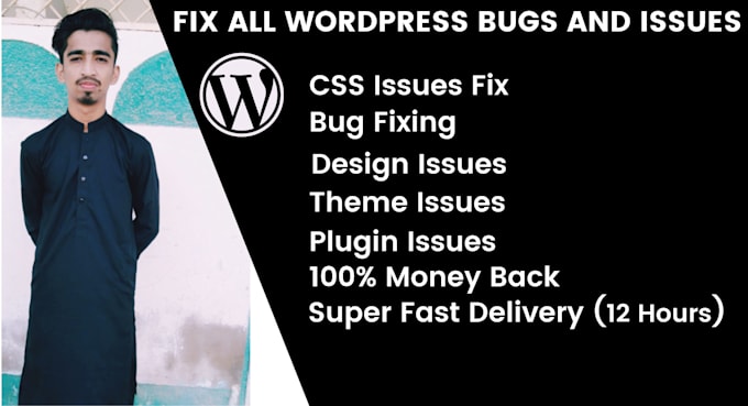Fix css issues, bugs, errors of wordpress website or blog by Mr ...