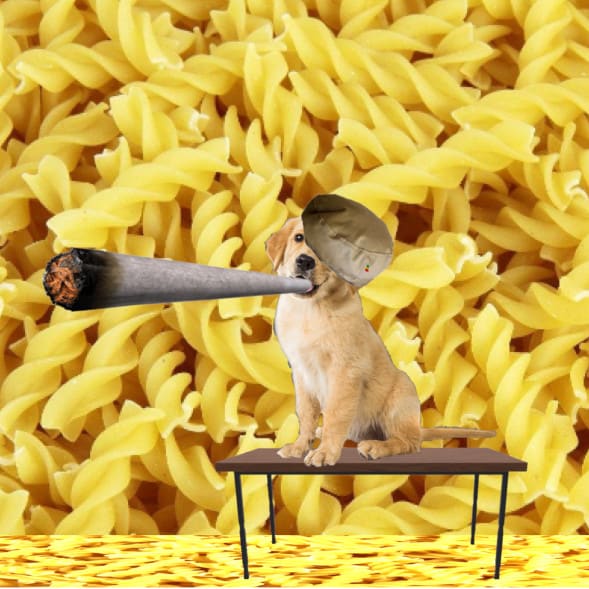 Make you an super profile picture by Xylogix | Fiverr