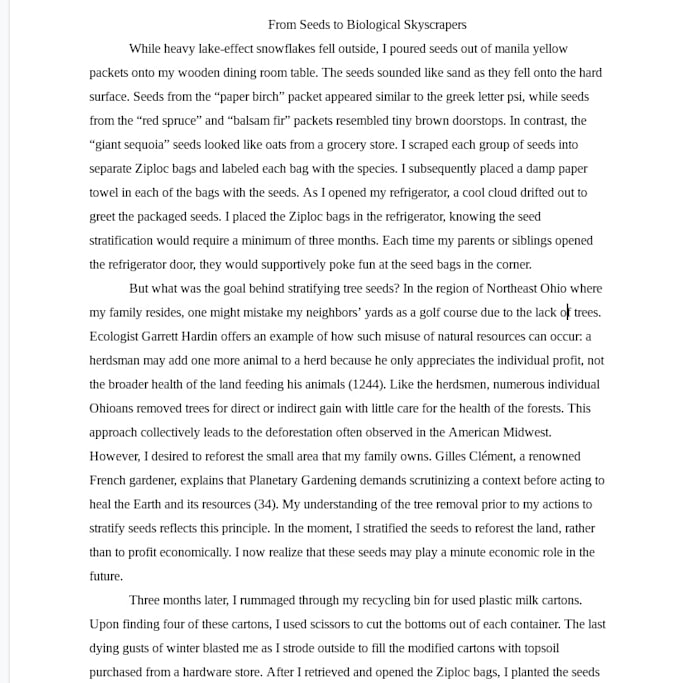 Turn your writing into a masterpiece by Charliesb2020 | Fiverr