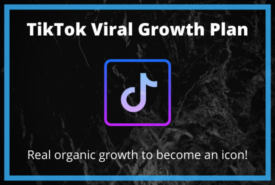 Teach you how to go super viral on tiktok by Willitcrush | Fiverr
