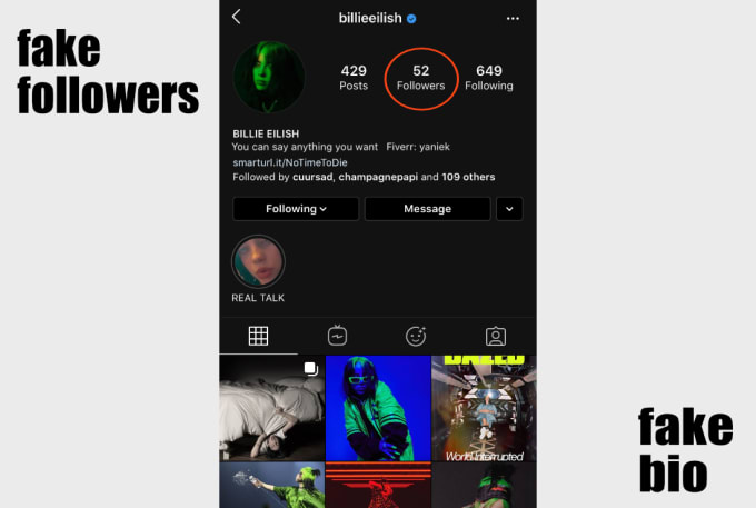 Edit a fake instagram profile with fake followers by Yaniek | Fiverr
