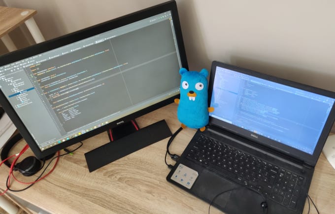 Develop backend using golang by Leli86 | Fiverr