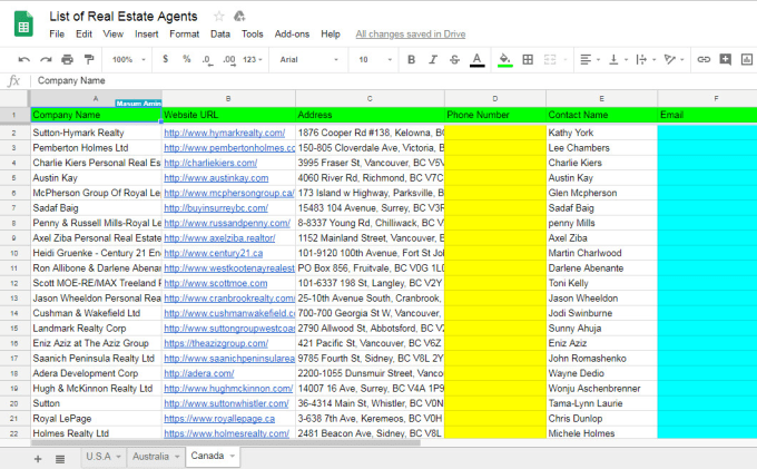Manually enter data for you in excel by Ramsha_mehmood | Fiverr