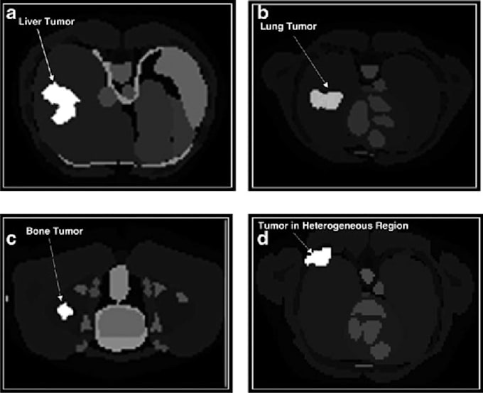 Do image processing in matlab and python, cv, data science by Almas77 ...