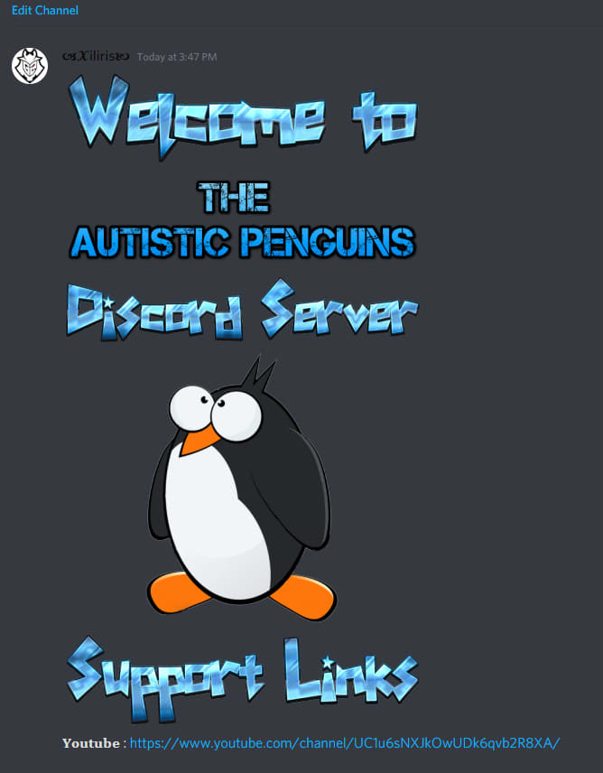 Make good looking discord servers by Xiliris | Fiverr