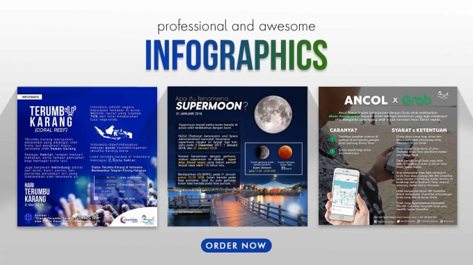 Create professional infographic design layouts by Noviasma | Fiverr