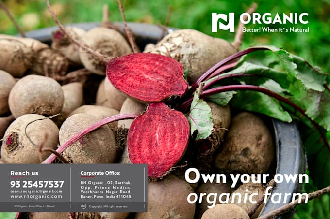 Design flyers, leaflets with premium font and visual appeal by Evolve ...