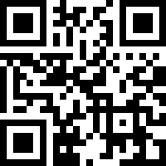 Make a simple and fancy qr code with brand logo by Virensavaliya11 | Fiverr