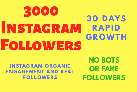 Organic Instagram Promotion Fast Growth Follower By Luwalusi Fiverr