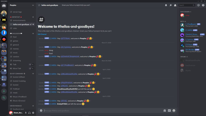 Create a basic discord server setup with bots by Shawn_boss04 | Fiverr