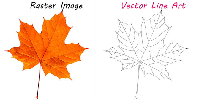 Do 2 easy vector design in 5 dollar by Syedsifatdesign | Fiverr