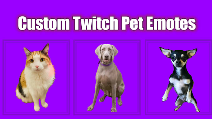 Create custom twitch and discord emotes with your pet by Sa1tshaker ...