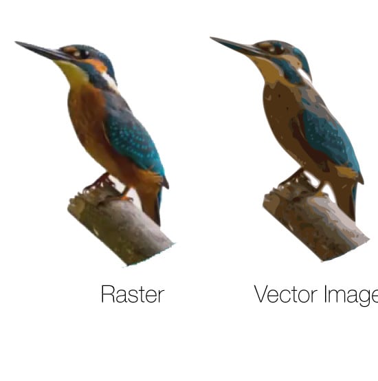 Image trace raster to vector by Venkateshkum834 | Fiverr