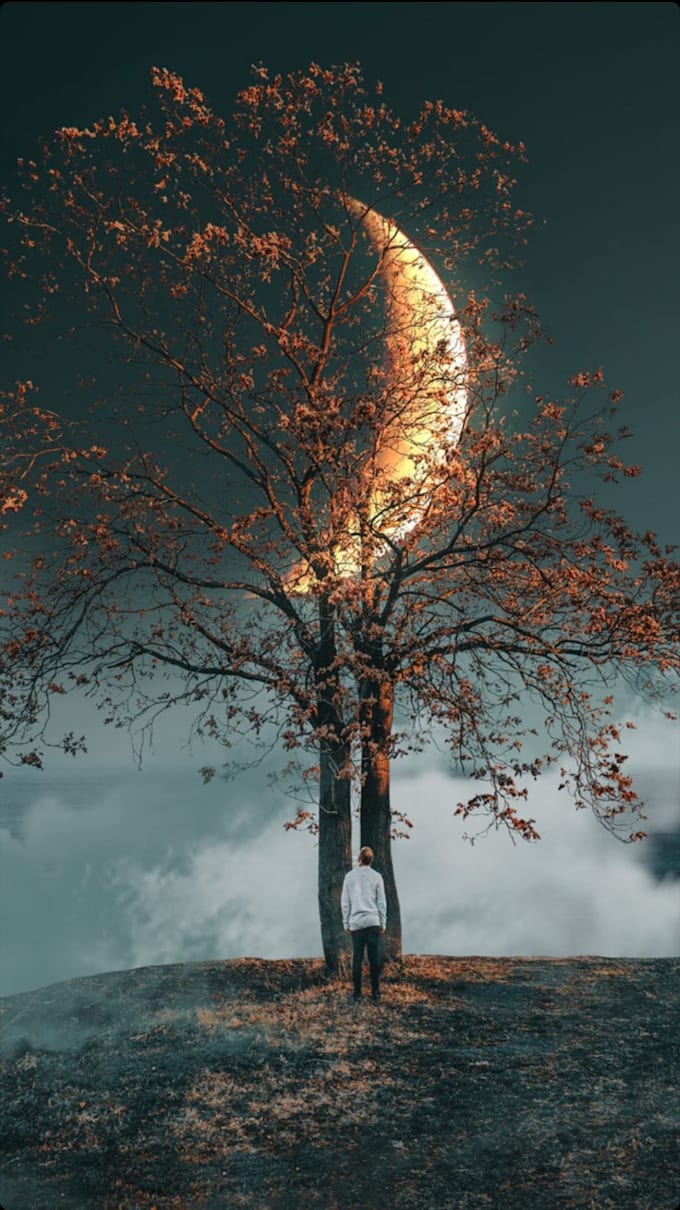 Make a cool high quality edit picture for you by Salkanovic | Fiverr