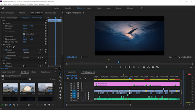 Do video editing for travel, vlog, montage, wedding avp and sde or ...