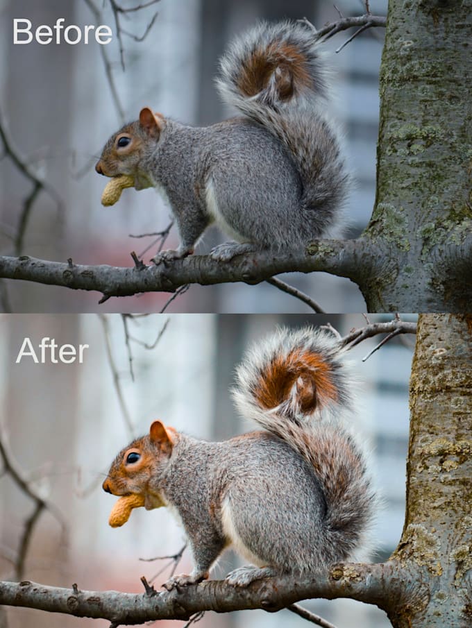 High quality photoshop edit by Mikost | Fiverr