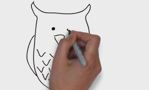 Make an awesome scribe/whiteboard drawing by Cookiemonstery | Fiverr