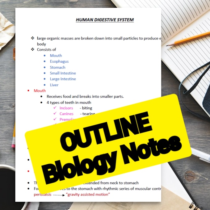 Outline your biology notes in an attractive way by Nadeesha94 | Fiverr