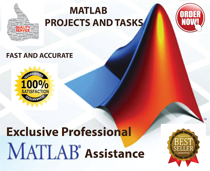 Do All Kind Of Matlab Task Related To Control System Image Processing