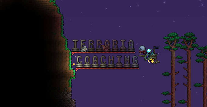 Play with you and teach you about terraria by Endobyte | Fiverr
