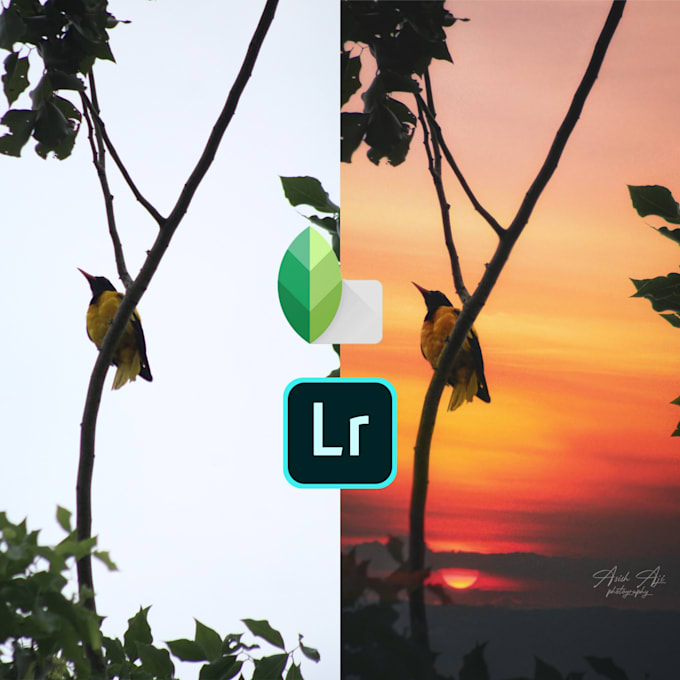 Edit the picture as cool and good looking by Asishaji | Fiverr