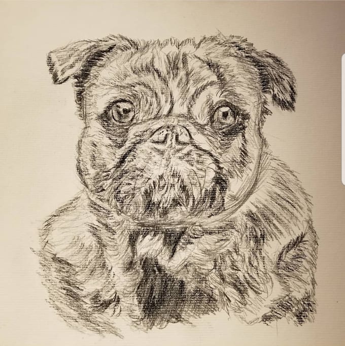 how to draw a mini puppy