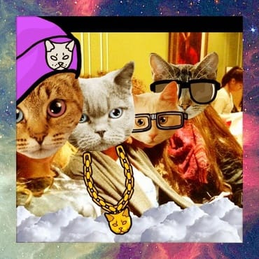 Catwang a picture of your choice by Gryffindork | Fiverr