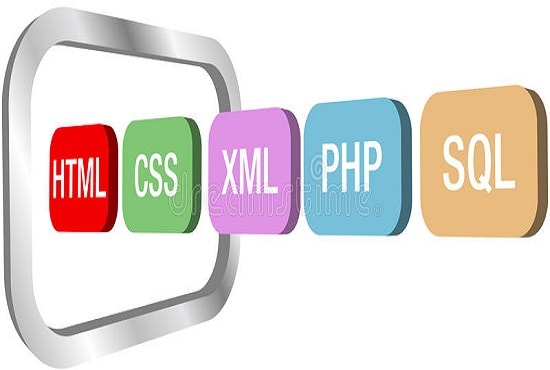 Do Custom Css Html Javascript Php Coding By Protechno Fiverr