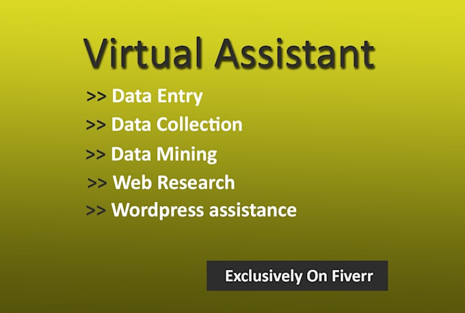 Be your virtual assistant for data entry, web research, data mining, copy paste by Sultanashifa ...