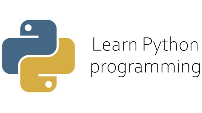 Teach you python programming from basics to advanced level by Network ...