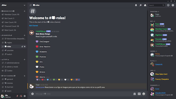 Make you a basic discord channel by Sugaagus | Fiverr