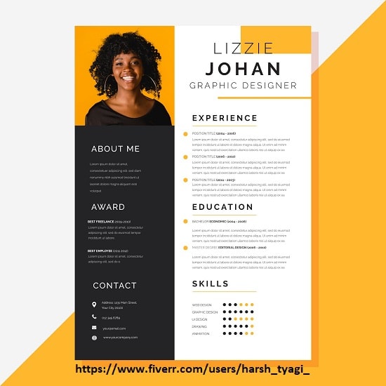 Write professional resume and cv within 24 hours to get you hired by ...